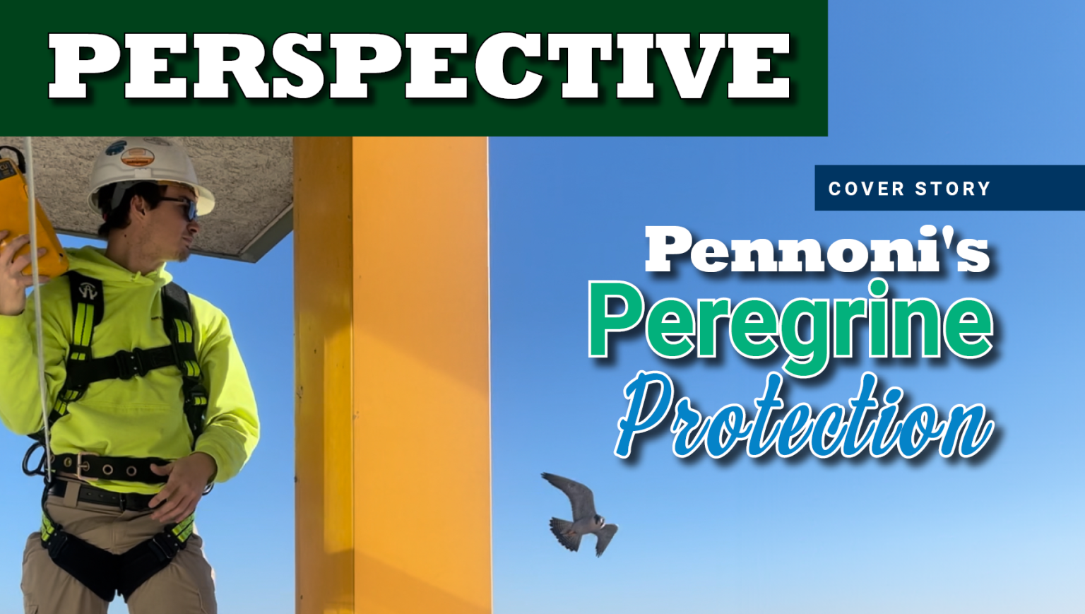 Pennoni Engineering Insights Articles & Perspectives